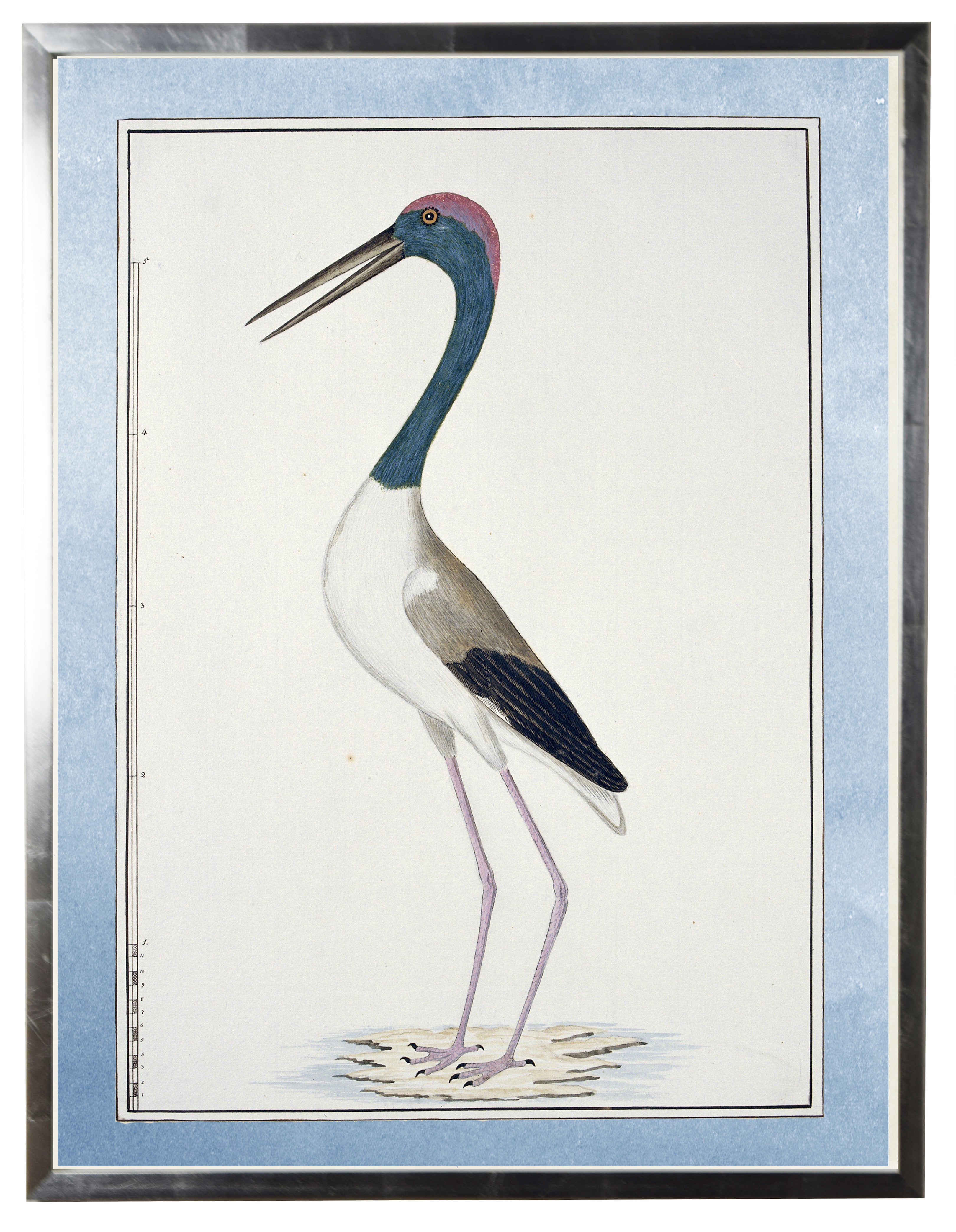 Waterbird with Pale Blue Border E - Online Only – The Spotted Whale